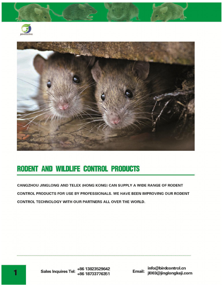 Pro-Rodent and Wildlife Control | PDF