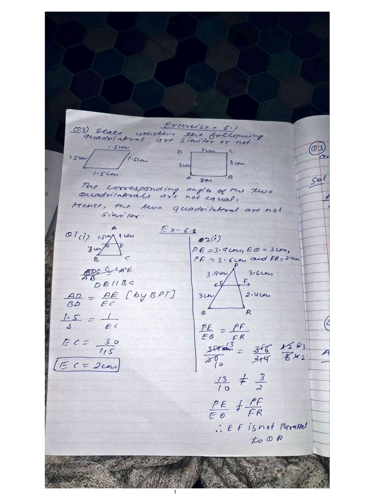 CH 6 Triangle Class 10 | PDF