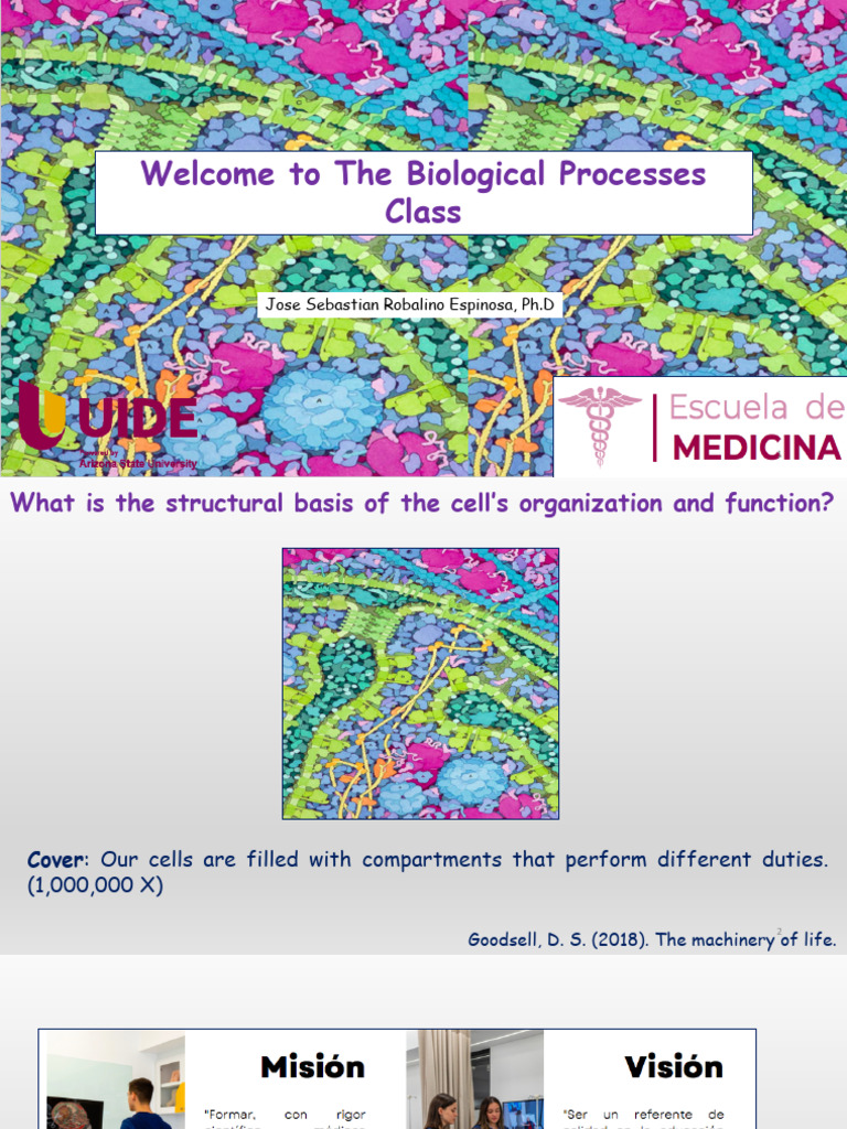 26.11 2025 Presentations | PDF | Amino Acid | Protein Structure