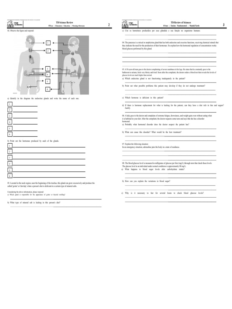 8TH Grade Science TD Exercises Science 8TH Grade Endocrine System | PDF ...