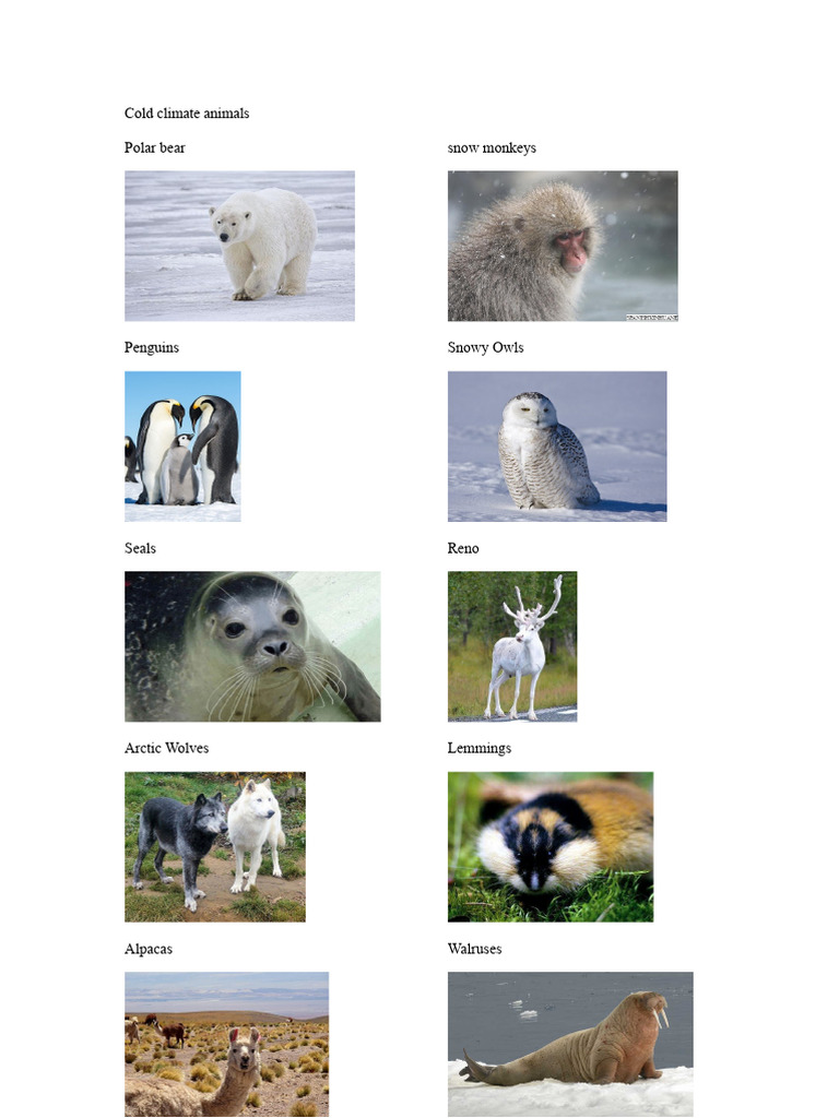 Cold Climate Animals and Tropical Dance | PDF