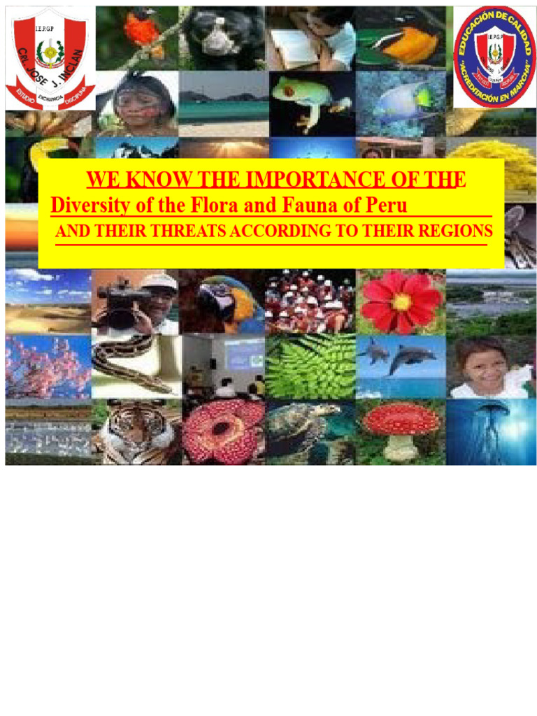 Preserving Peru's Flora and Fauna | PDF | Biodiversity | Amazon Rainforest