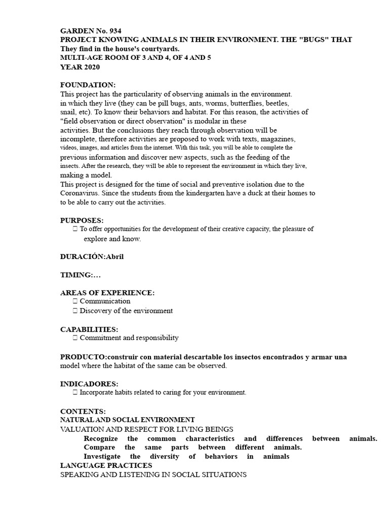 Insect Project | PDF | Insects | Ant