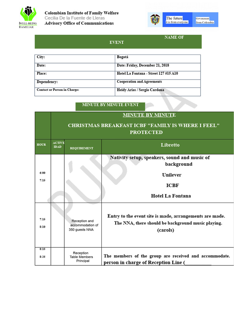 Example Format - Script and Minute by Minute for the Execution of an ...