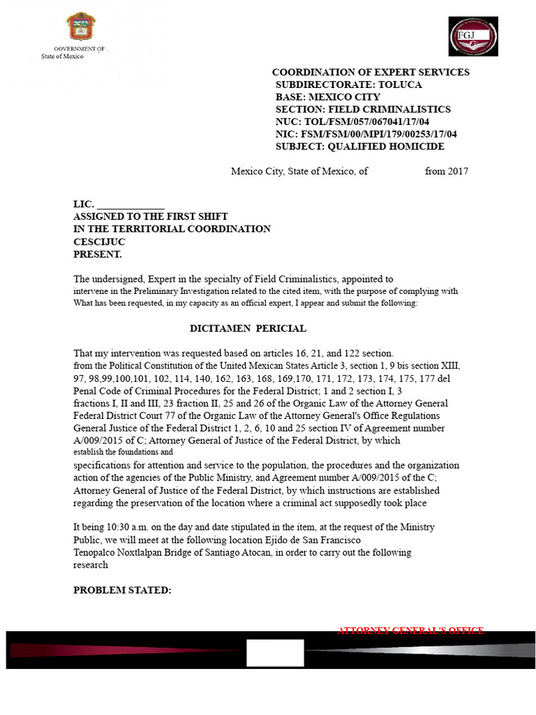 expert report | PDF | Forensic Science | Criminal Justice