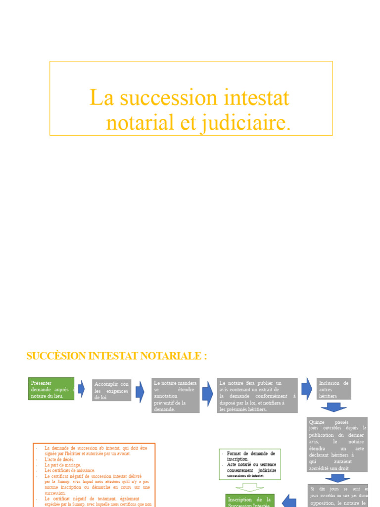 Guide sur la succession intestat | PDF | Justice | Crime et violence