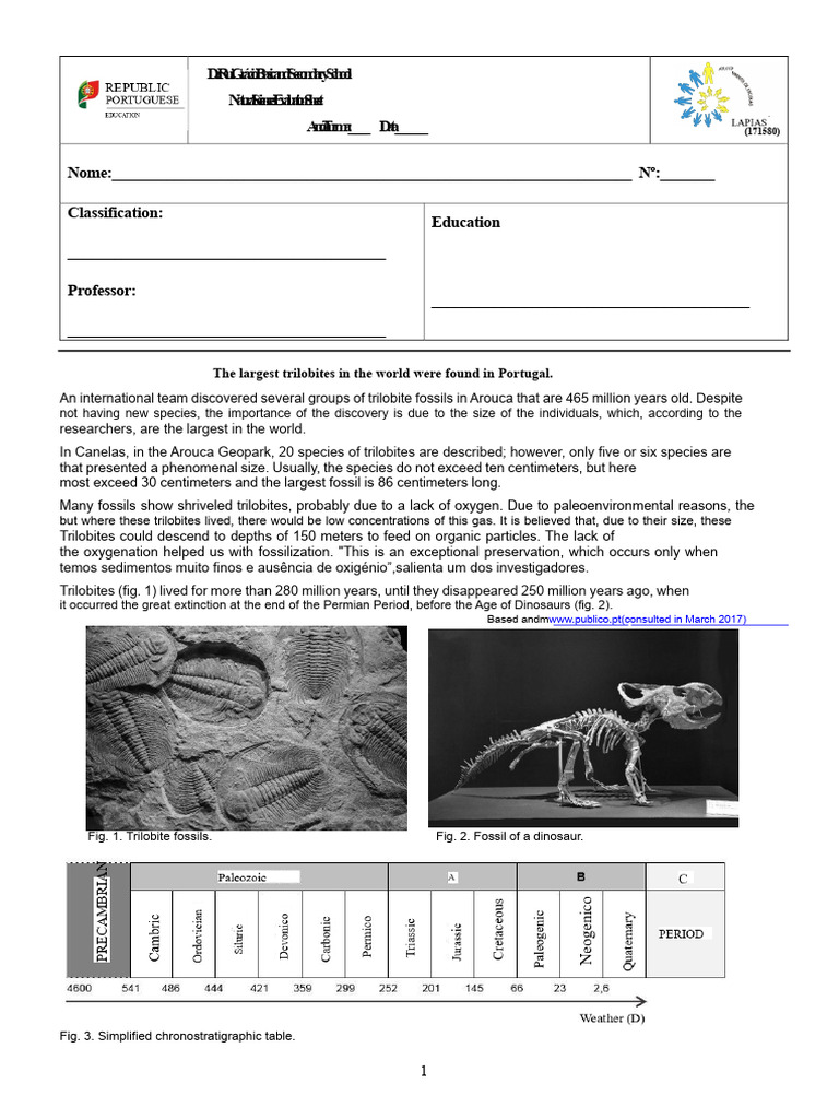 Assessment Sheet CN 7 Fossils | PDF | Fossil | Geologic Time Scale