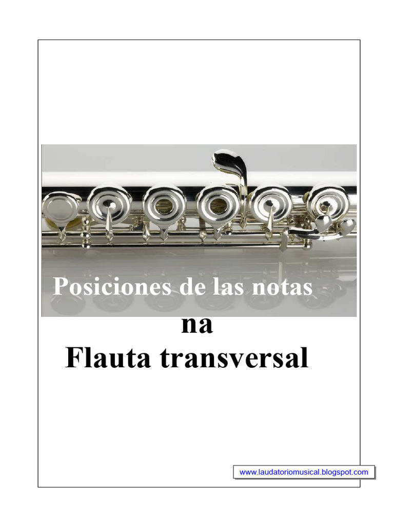 Posiciones de Las Notas en La Flauta Traversa | PDF | Mano | Flauta