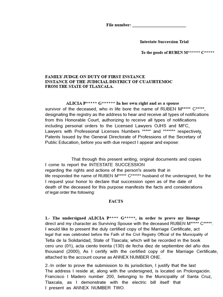Initial Written Statement For Intestate Proceedings in The State of ...