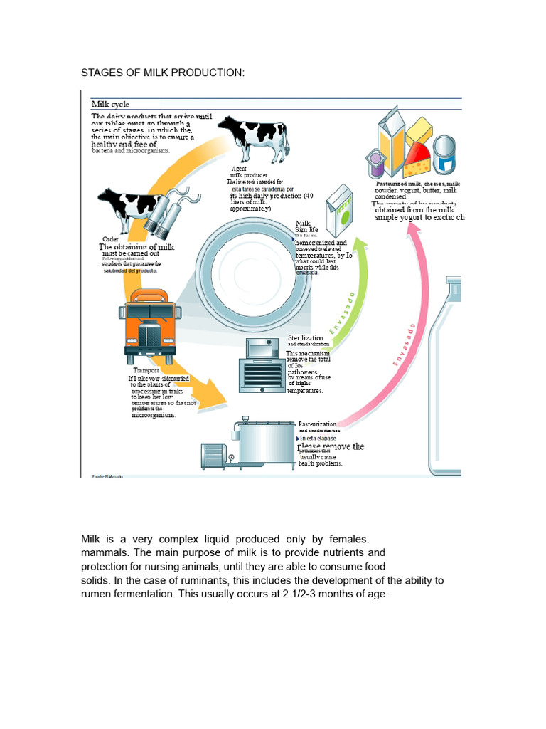 Stages Of Milk Production Explained Pdf Plastic Recycling