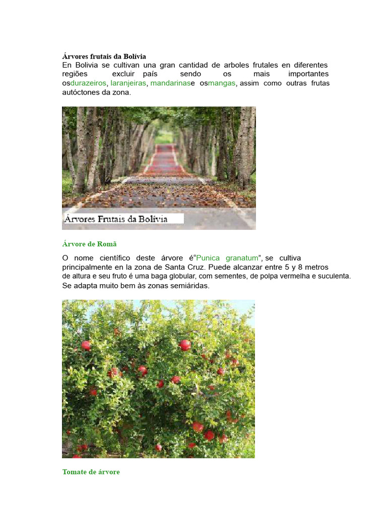 Frutas e Árvores Frutais na Bolívia | PDF | Laranja (fruta) | Limão