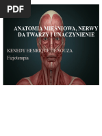 Anatomia Swini Atlas Interaktywny | PDF
