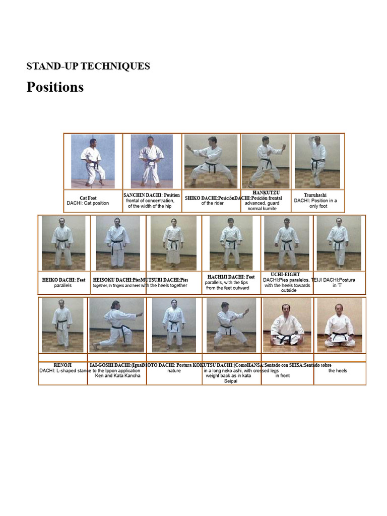 Basic Positions and Blocks | PDF | Karate