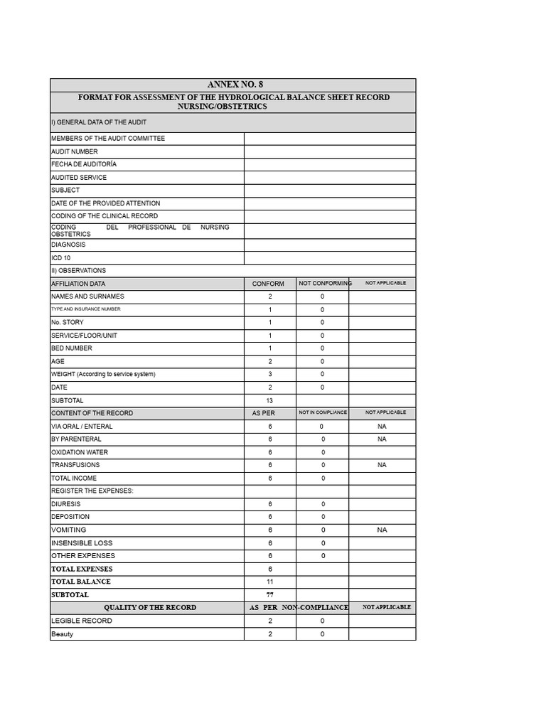 Hydrological Balance Sheet Audit Format | PDF | Audit | Clinical Medicine