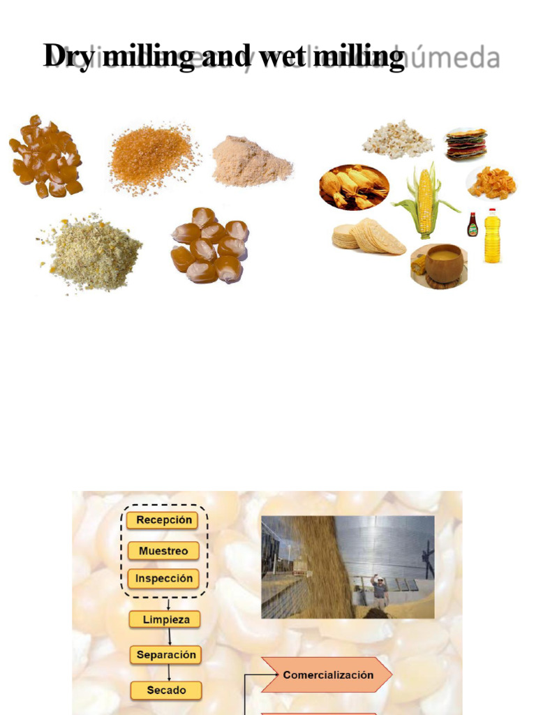 Dry Milling and Wet Milling2101 | PDF | Mill (Grinding) | Flour