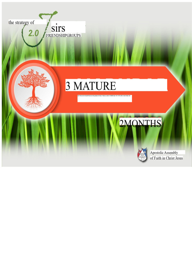 Lesson 1 Implementation of the Purposes of Jesus' Strategy | PDF ...