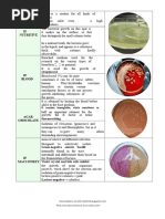MacConkey, CLED, Blood & Chocolate Agar Types | PDF | Growth Medium | Agar