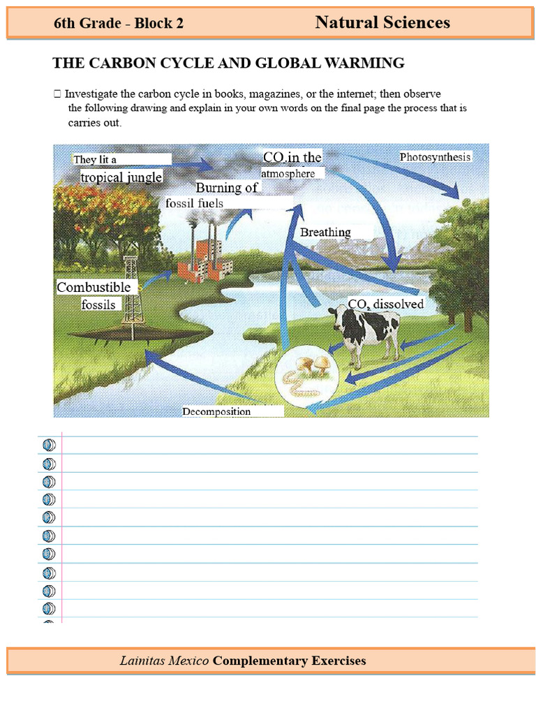 6th Grade - Science - Carbon Cycle | PDF