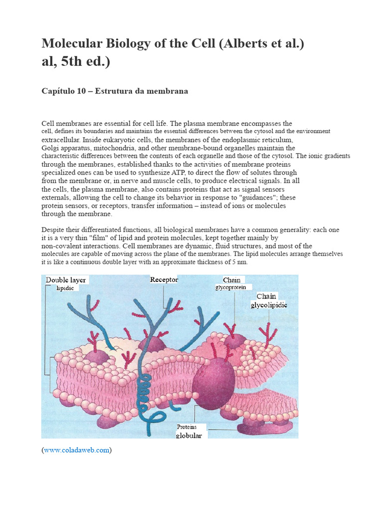 Molecular Biology of The Cell (Alberts Et Al., 5th Ed.) | PDF | Cell ...