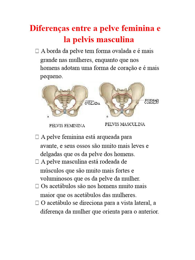 Diferenças entre pelve feminina e masculina | PDF