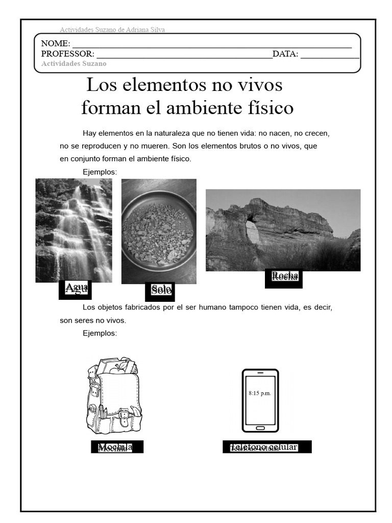 Seres Vivos y No Vivos Ciencias | PDF
