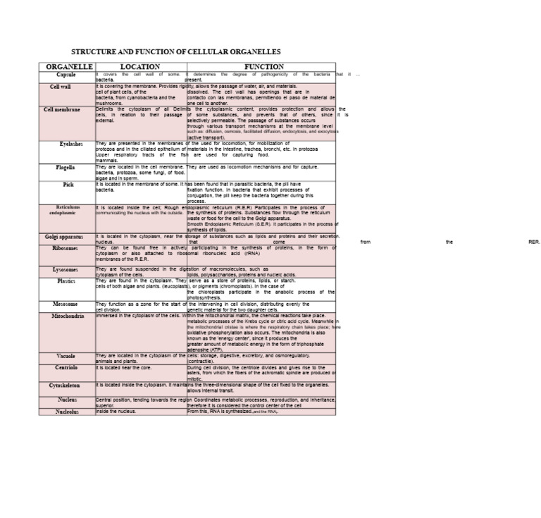 Structure and Function of Cellular Organelles | PDF | Cell (Biology ...