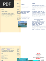 Kelp Forest Food Web Overview | PDF