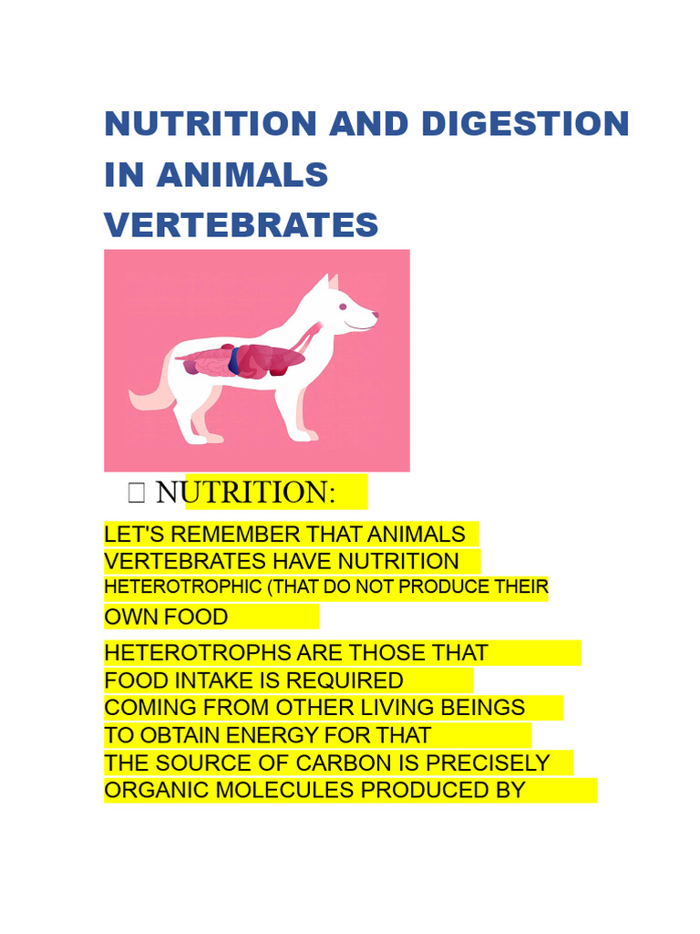 Nutrition and Digestion in Vertebrate Animals | PDF