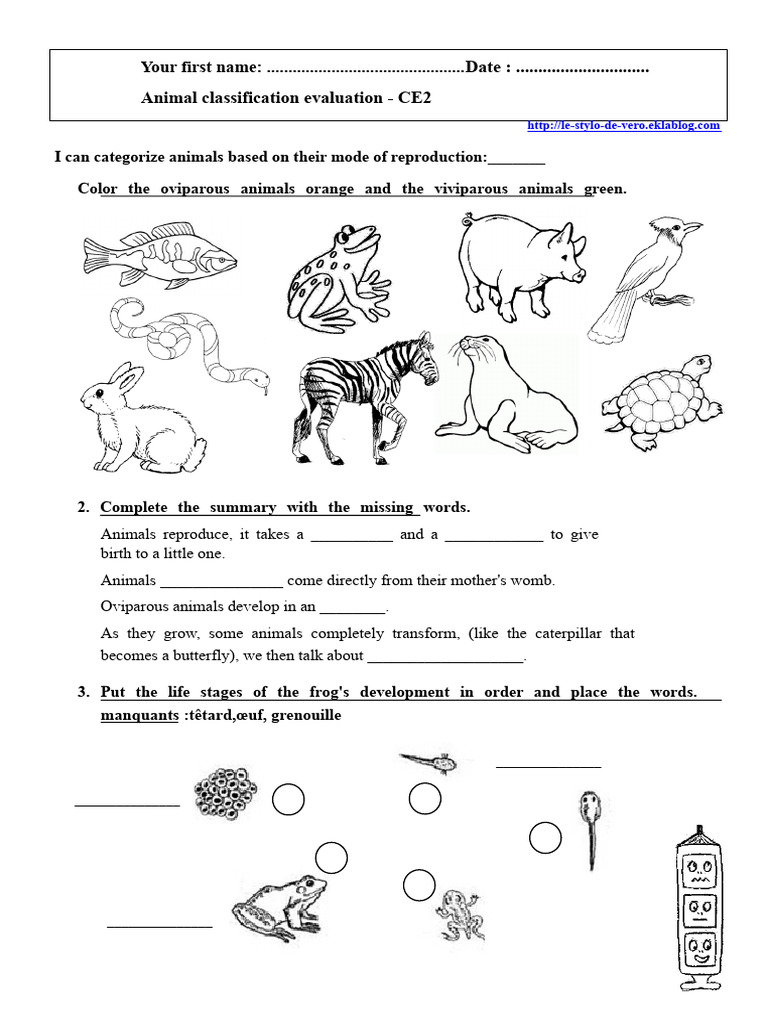 Animal Classification and Movement Evaluation | PDF