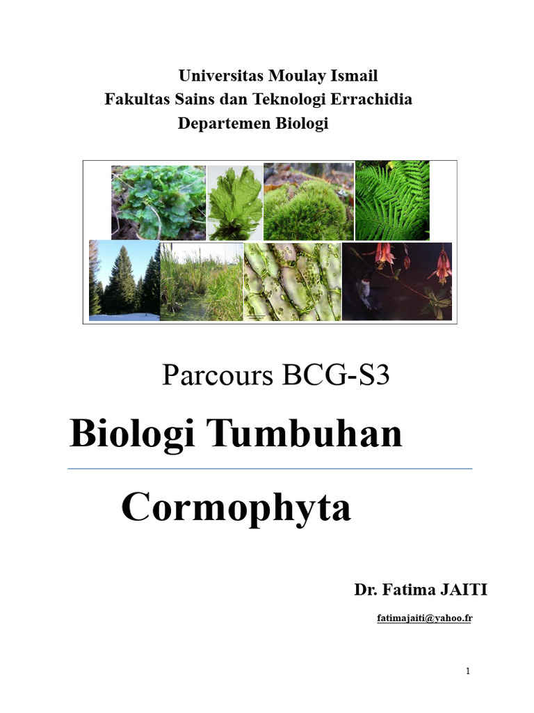 kursus Bio, Tumbuhan cormophytes (Parcours-BCG.blogspot.com) | PDF