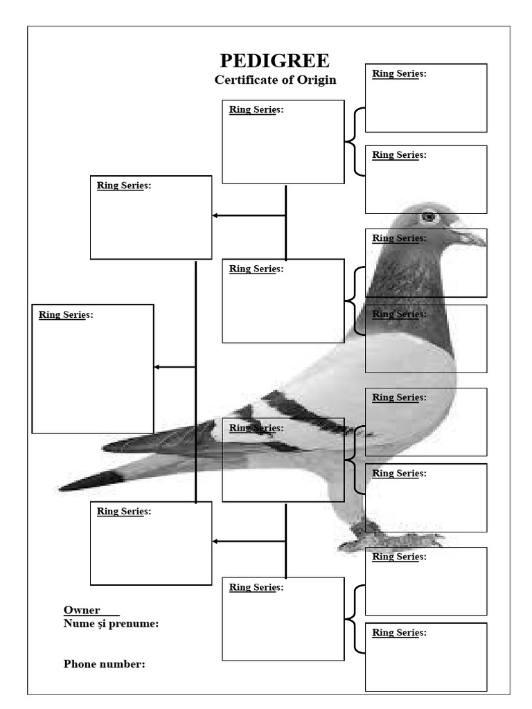 Model Pedigree - Racing Pigeons 1.1 | PDF
