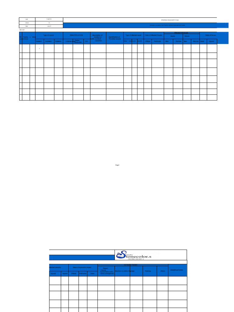 Incident, Accident and Traffic Violation Registration Sheet Format ...