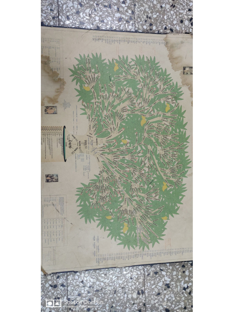 Kalarav Aambo | PDF
