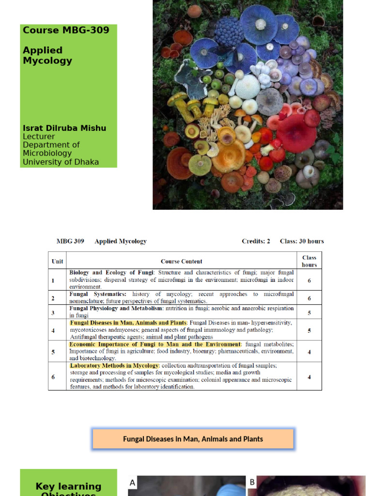 Fungal Diseases: Mycology Course Overview | PDF | Candidiasis | Mycotoxin