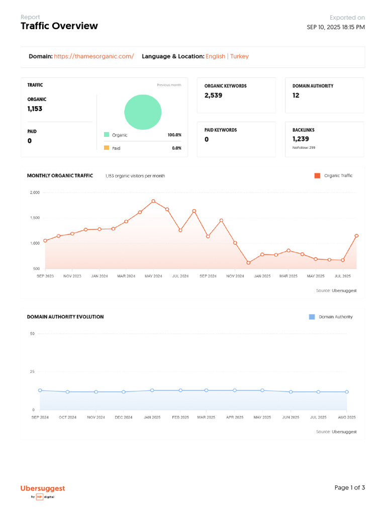 Thames Organic Traffic Overview Report | PDF | Search Engine ...