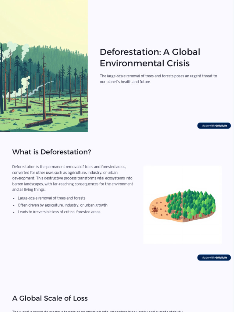 Deforestation: Global Crisis Overview | PDF | Deforestation | Habitat ...