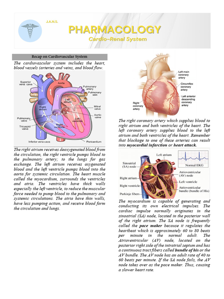 Overview of Heart Failure and Treatments | PDF | Atrium (Heart ...
