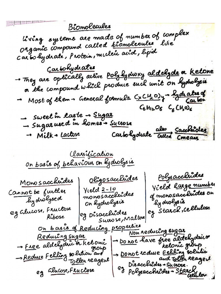 Biomolecules Short Notes | PDF