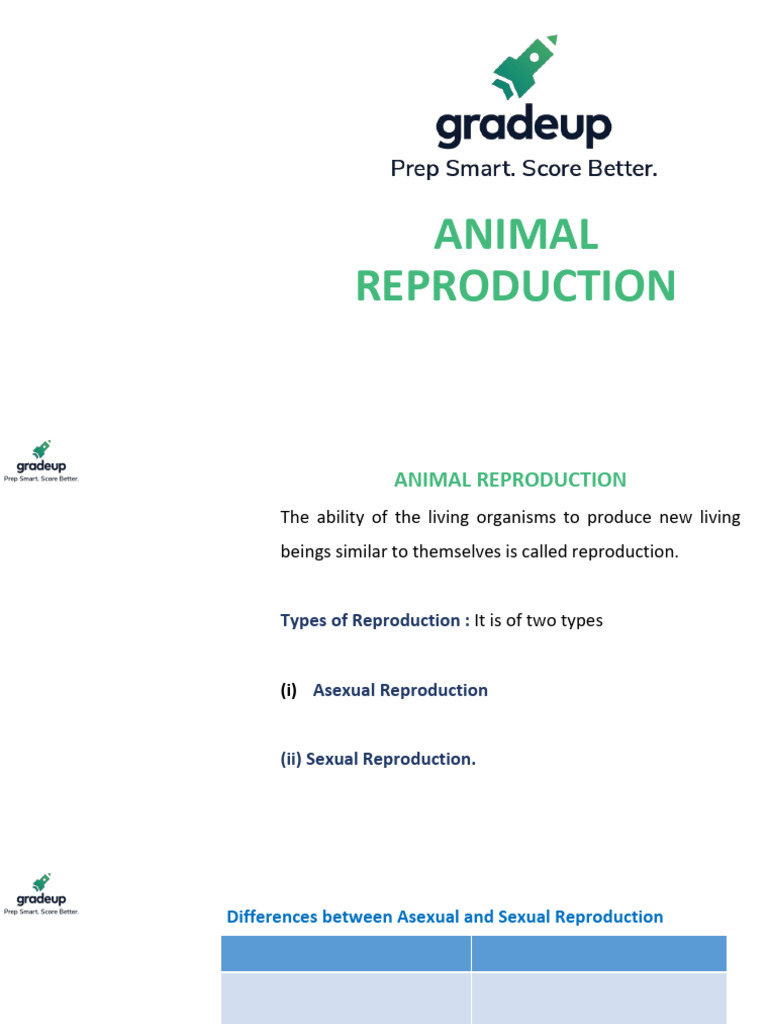 Types and Processes of Animal Reproduction | PDF | Reproductive System ...