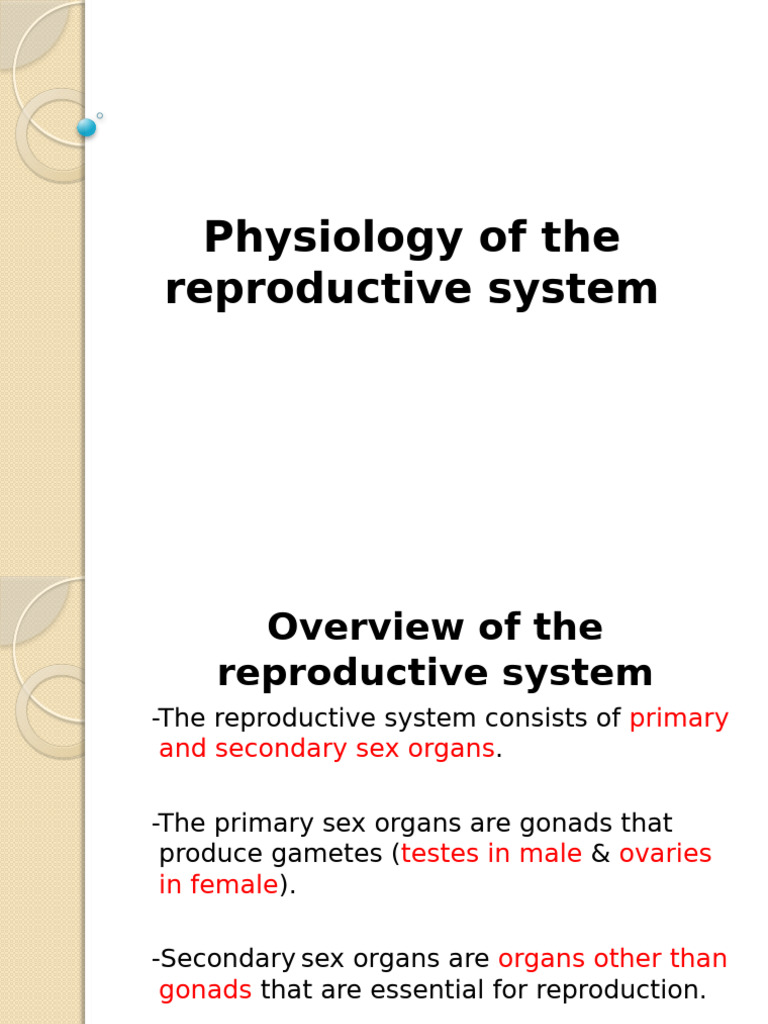 Reproductive System Physiology Explained | PDF | Reproductive System ...