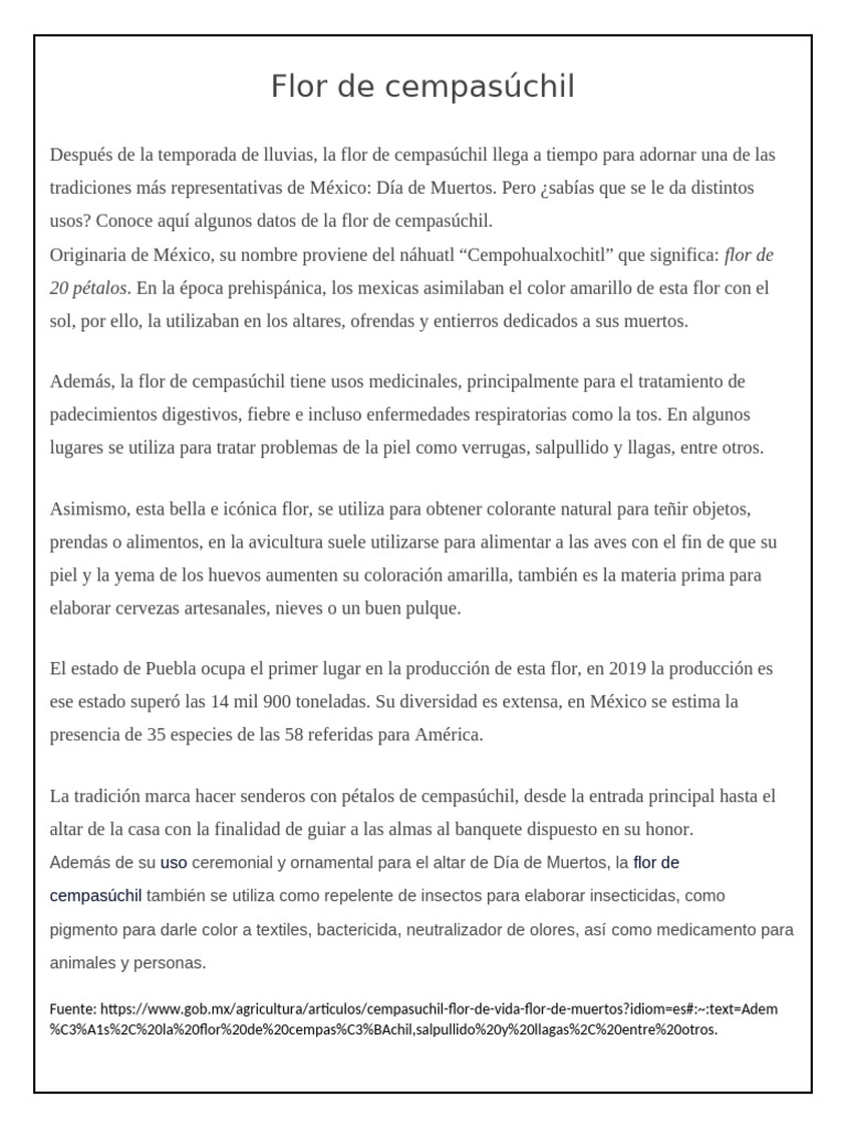 Usos y tradiciones de la flor cempasúchil | PDF