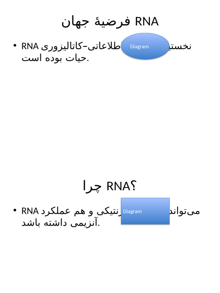 RNA World 14slides With Shapes | PDF
