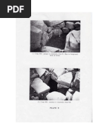 Kalibangan Fire Altar Harappa | PDF