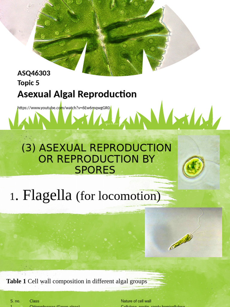ASQ46303 T5 Axesual Algal Reproduction | PDF | Reproduction | Biology