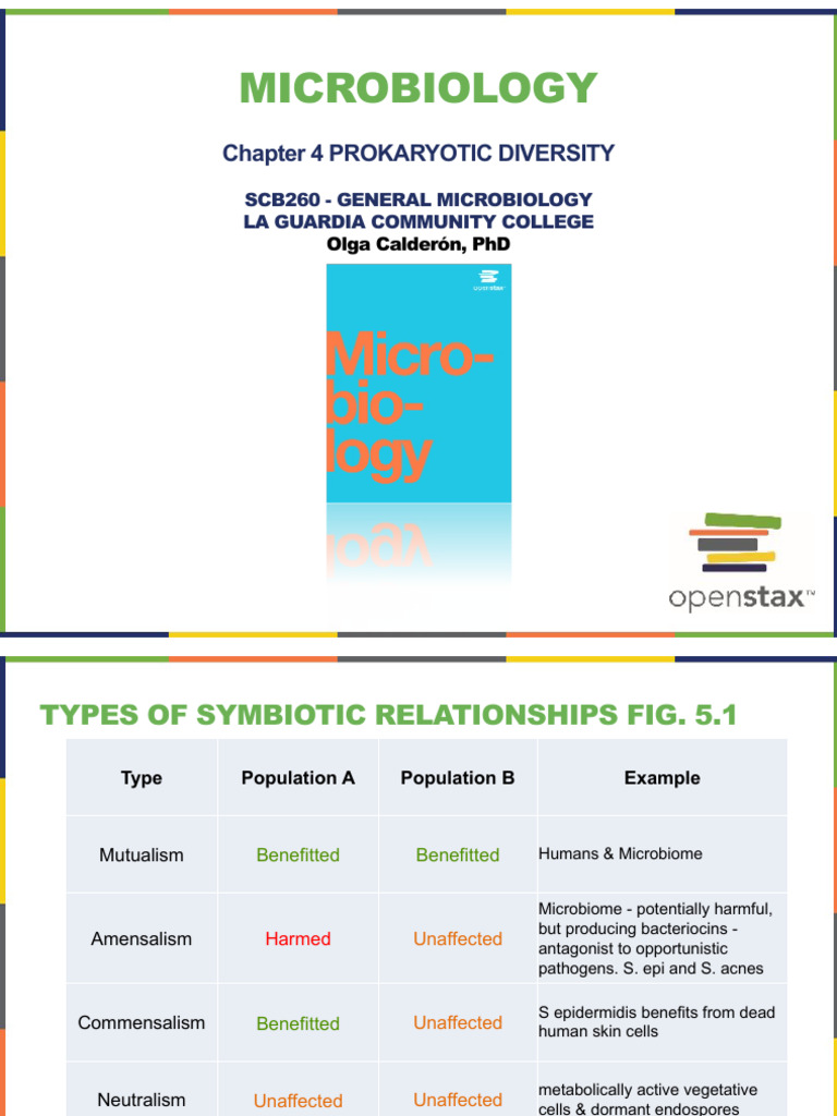 Prokaryotic Diversity in Microbiology | PDF | Cyanobacteria | Bacteria