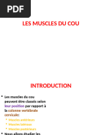 Anatomie du Muscle Sterno-Cléido-Mastoïdien | PDF | Cou | Artère ...