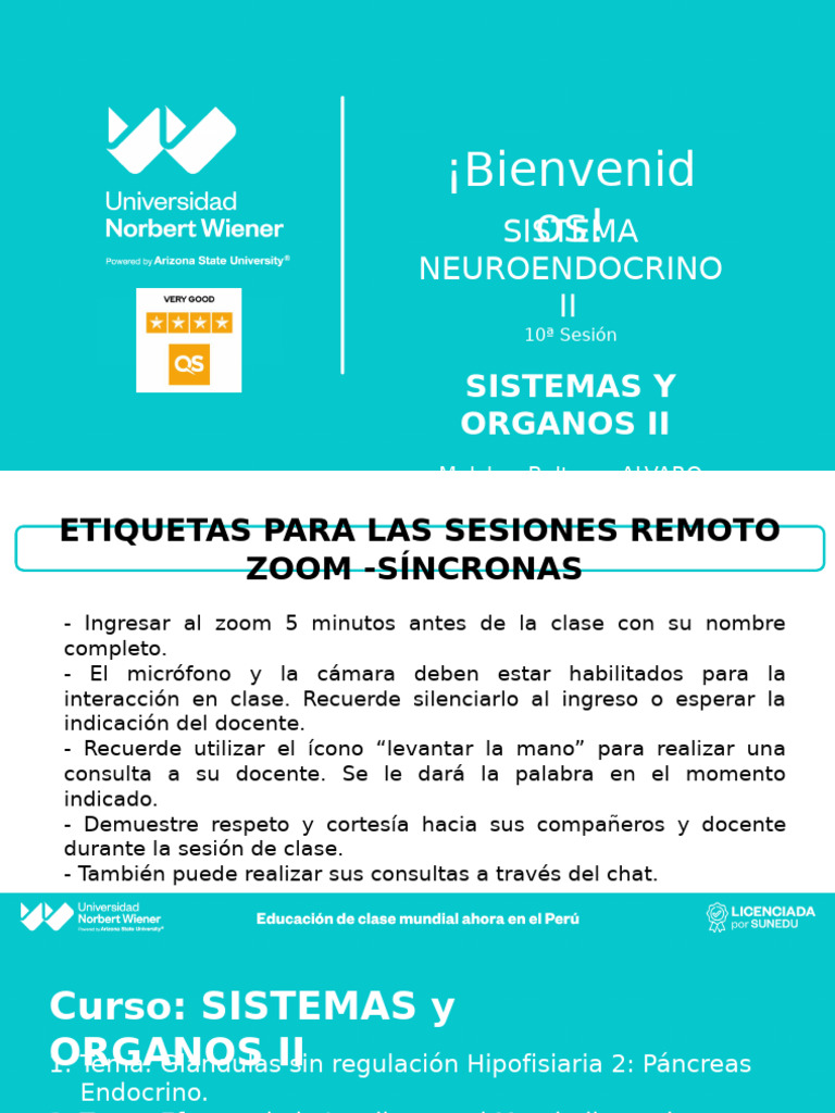 Clases+10%C2%AA+sesi%C3%B3n+Sistema+Endocrino+III+-+P%C3%A1ncreas ...