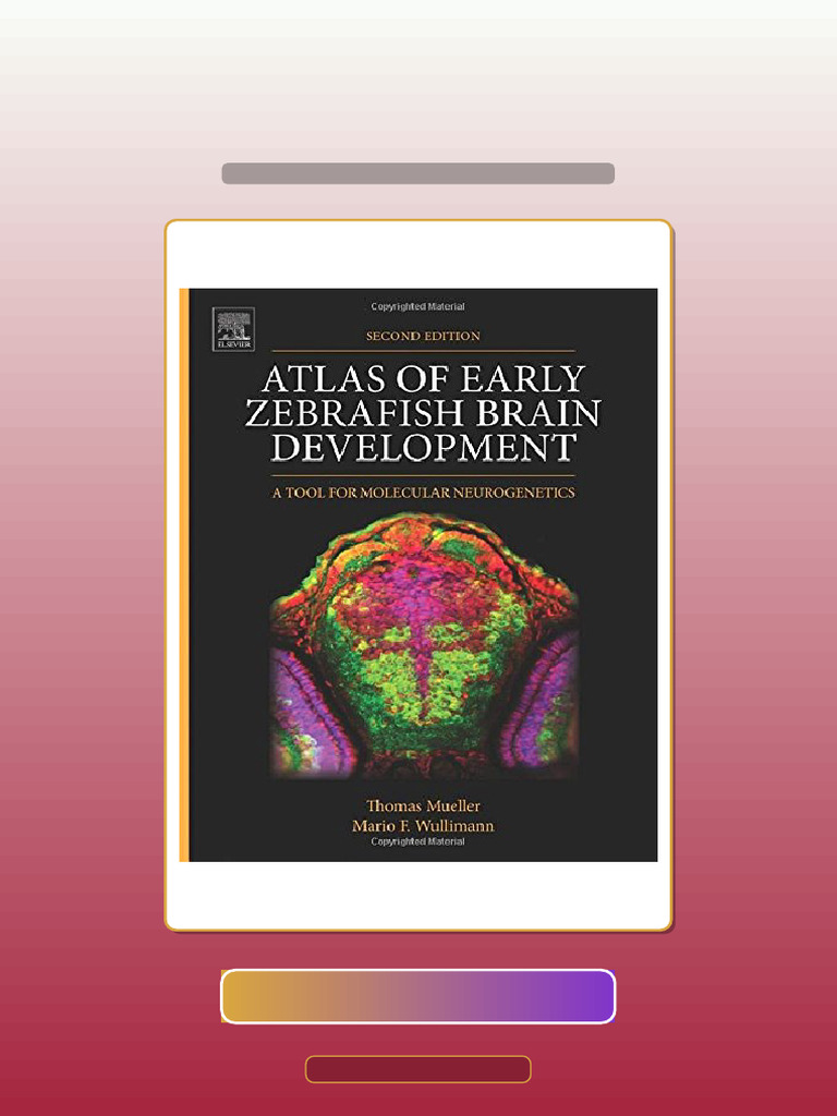 Atlas of Early Zebrafish Brain Development Second Edition a Tool for ...