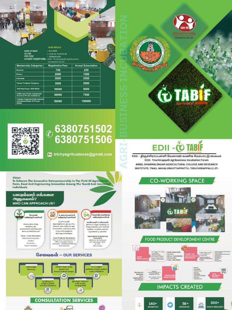 TABIF Brochure | PDF