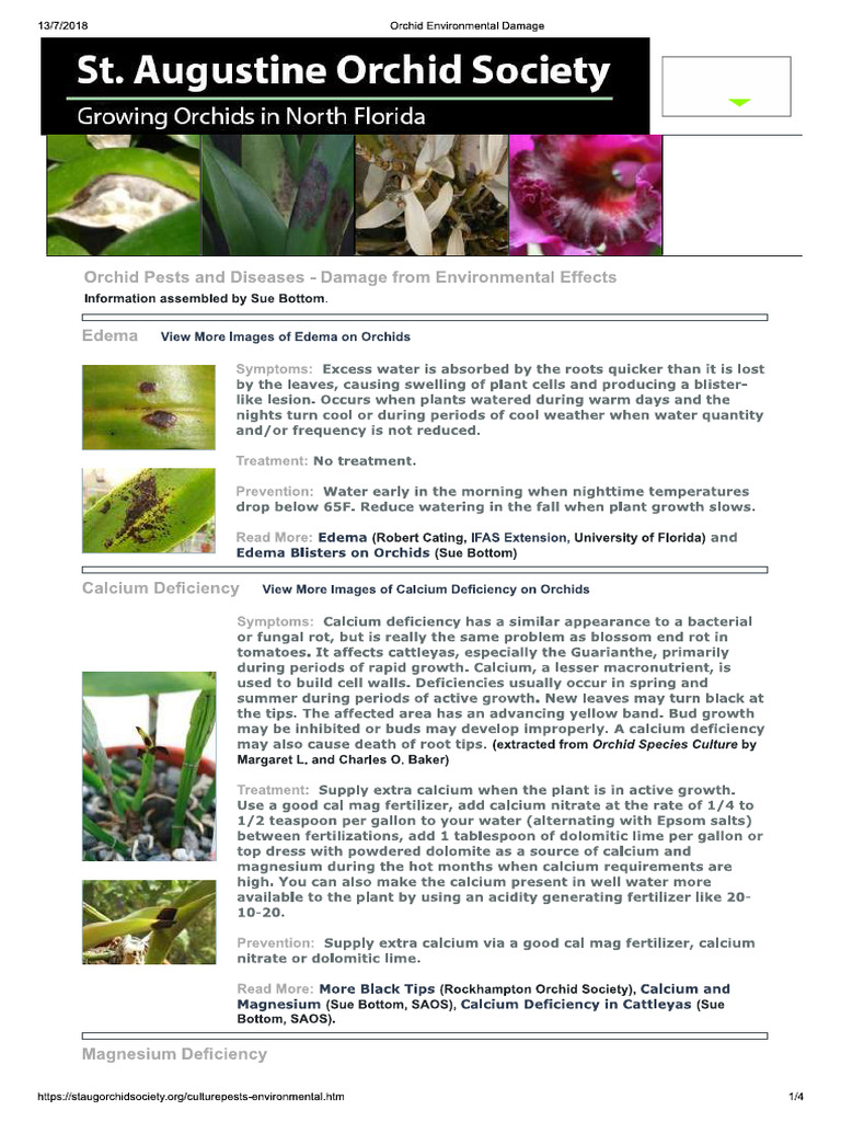 Damage From Environmental Effects | PDF